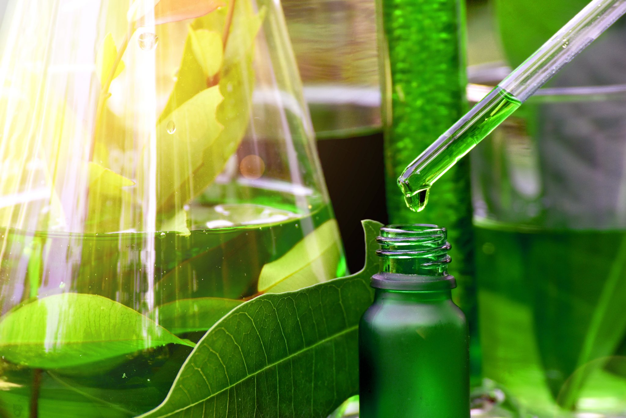 Bioresonance Scan - using biophotonics - The Energy Space